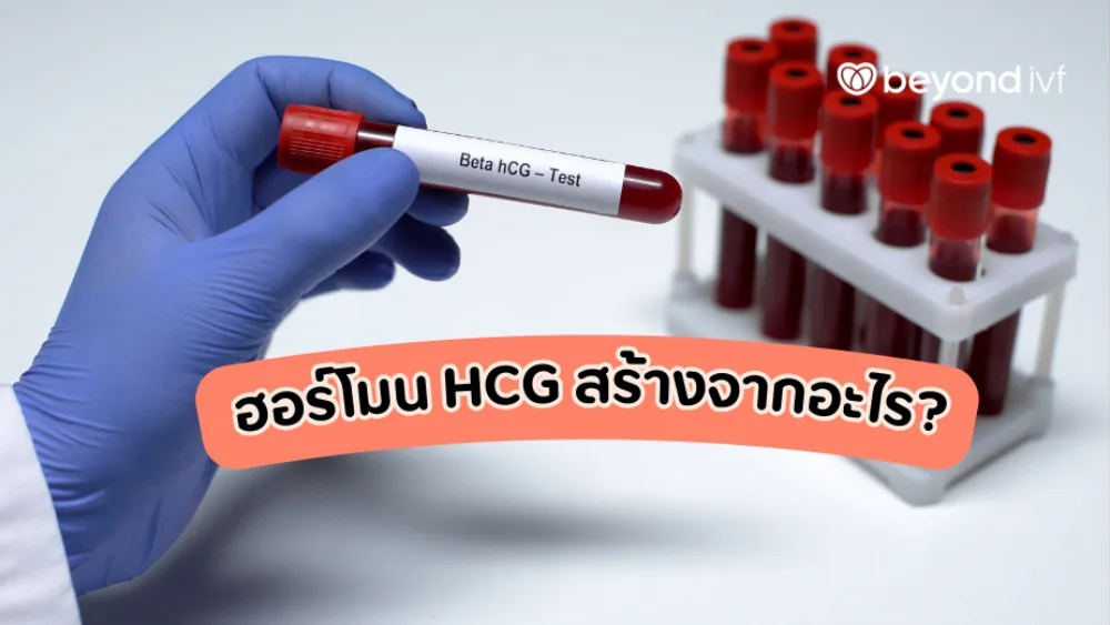 BeyondIVF • What is hCG hormone? How does it help in pregnancy?