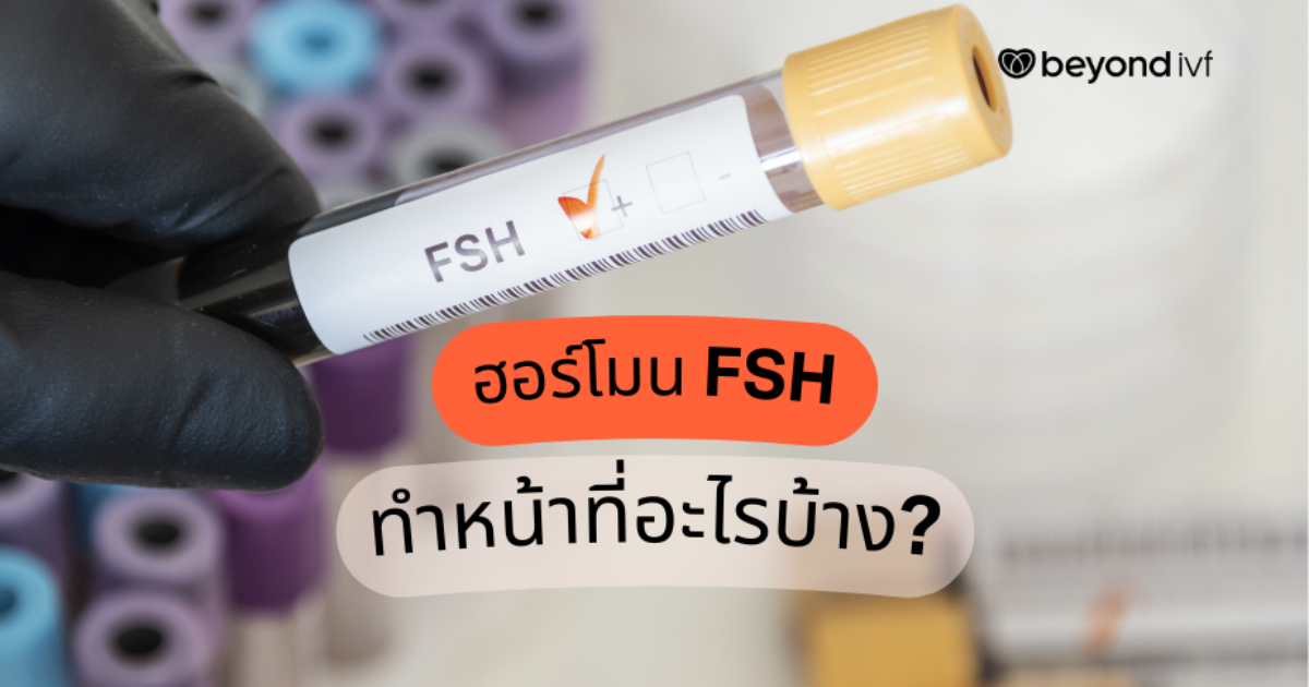 ฮอร์โมน FSH (Follicle Stimulating Hormone) ส่วนสำคัญในหญิงตั้งครรภ์